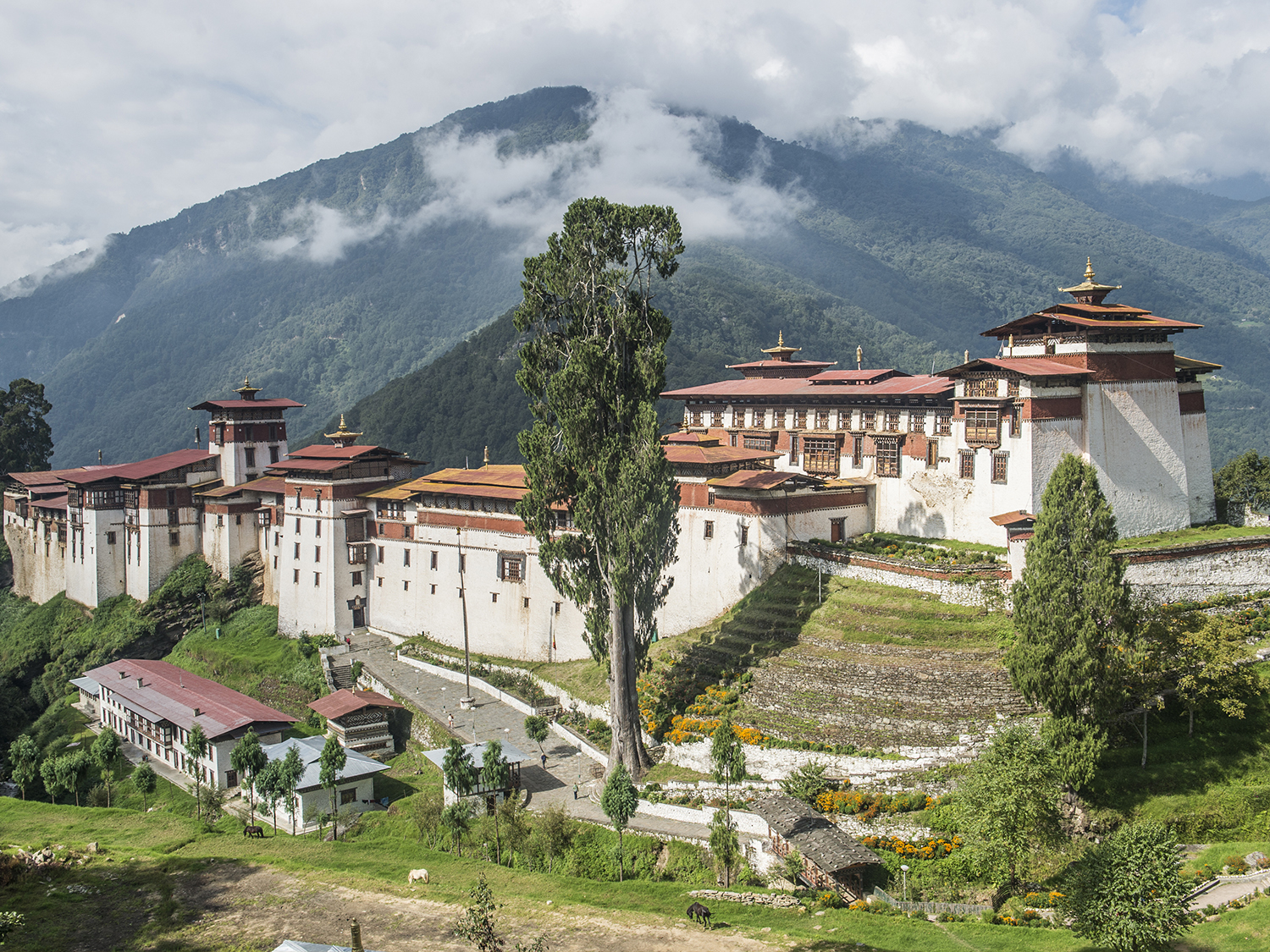 Best Bhutan Tours 2026/2027 Packages (From US)